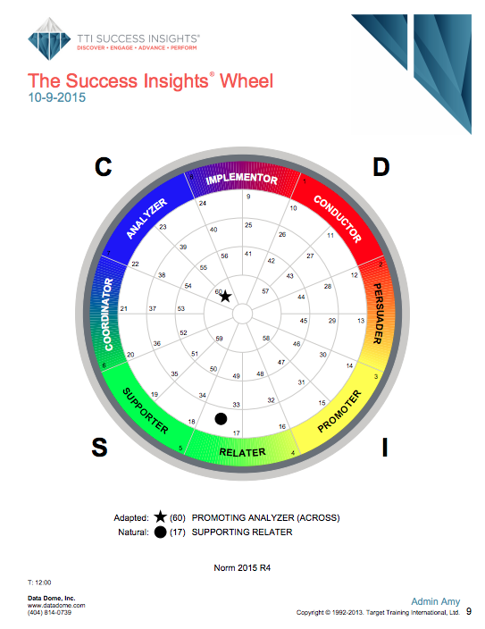 DISC Interviewing Insights General | Data Dome